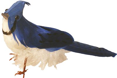 6" Artificial Blue Jay- Box of 1 Doz, B66724 | Floral Supply